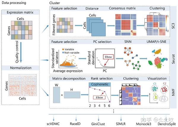 超详细 | 生物医学研究和临床应用中scRNA-seq的数据分析指南 - 知乎