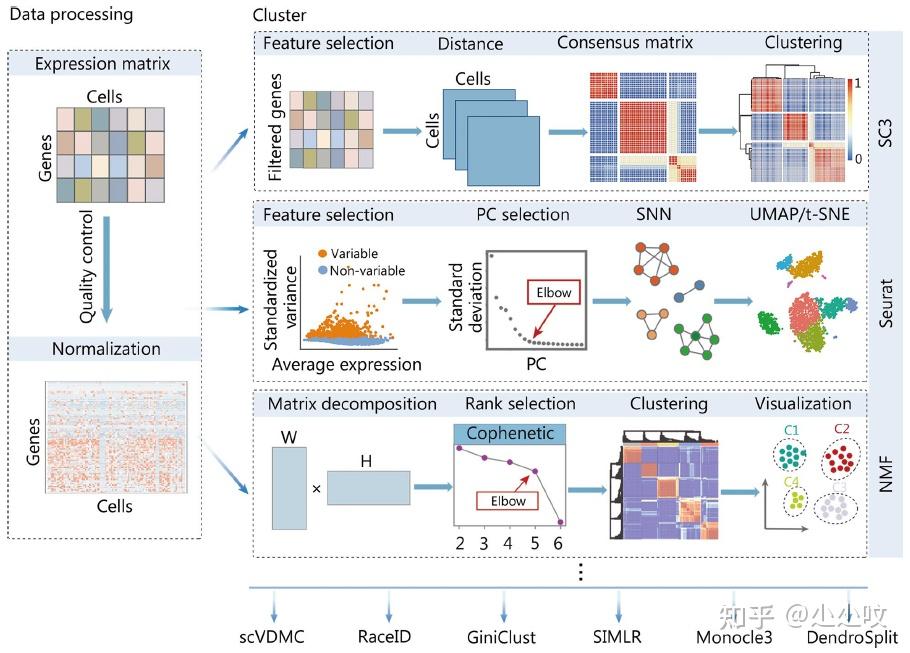 超详细 | 生物医学研究和临床应用中scRNA-seq的数据分析指南 - 知乎