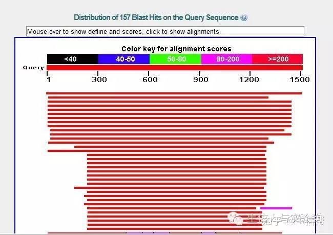 NCBI在线版Blast使用（超详细奥） - 知乎