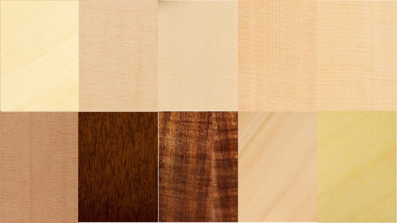 Tone Woods of Guitar - 知乎