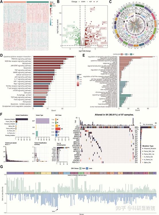 你见过将12种程序性细胞死亡模式整合成一篇纯生信sci吗？这篇13分+的文章送给你！ - 知乎