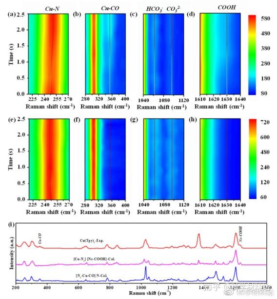 高山教授、詹孝文教授、罗其全教授、杨金龙院士、谢毅院士，NC观点：利用原位非增强型拉曼光谱技术实现准原位探究分子催化剂在电催化还原CO2过程中 ...