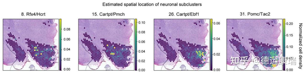 聚焦生信 | Cell2location法联合单细胞转录组进行空间转录组细胞类型映射-附代码 - 知乎