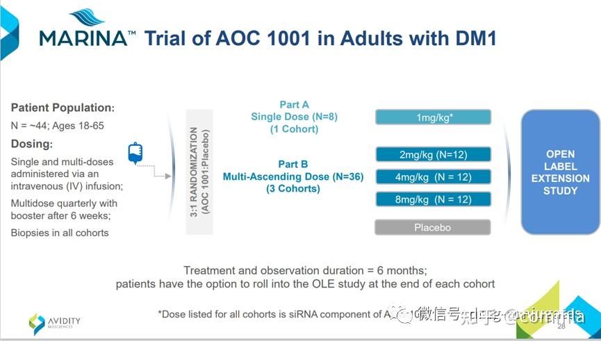 Avidity：抗体核苷酸偶联物（AOC）领域龙头技术梳理 - 知乎