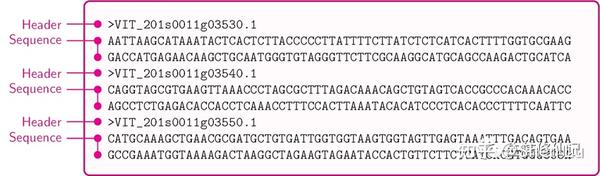 生信常用数据格式: FASTA 格式 - 知乎