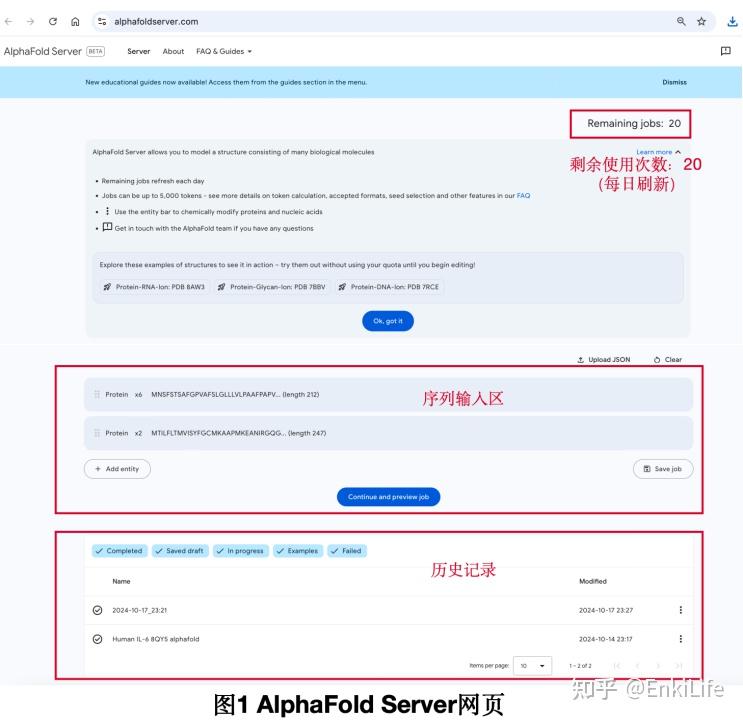 超详细！保姆级！AlphaFold3在线版使用指南 - 知乎