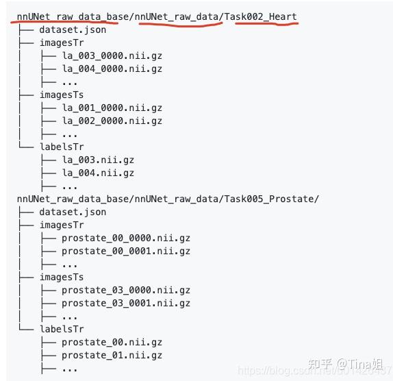 nnUNet v2数据准备及格式转换 （二） - 知乎