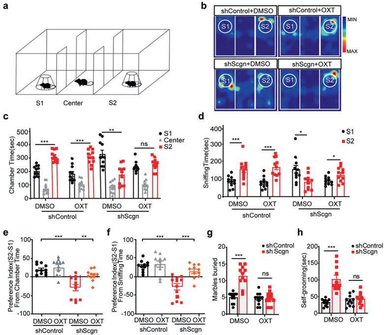 STTT：四川大学贾大/张小虎/莫显明与首都医科大学李巍等发现SCGN缺陷是孤独症谱系障碍的危险因素 - 知乎