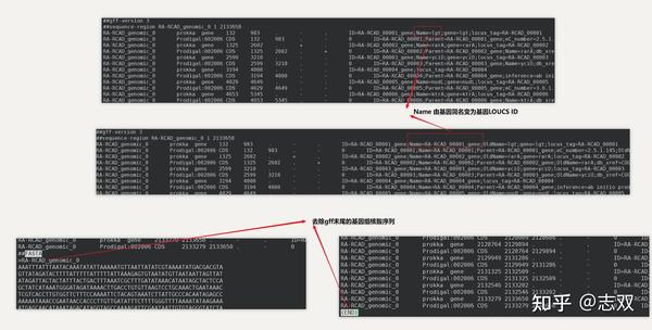 AMRFinderPlus-注释耐药基因 - 知乎
