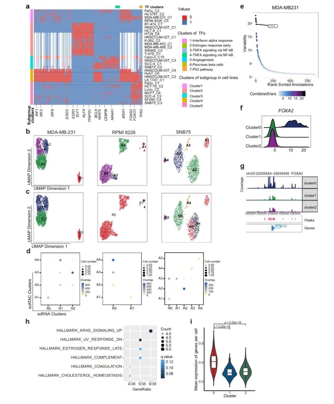Nat. Commu. | 单细胞多组学图谱揭示人类癌症细胞系转录组和表观遗传异质性 - 知乎