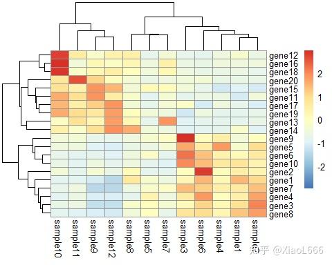 使用pheatmap包绘制热图 - 知乎