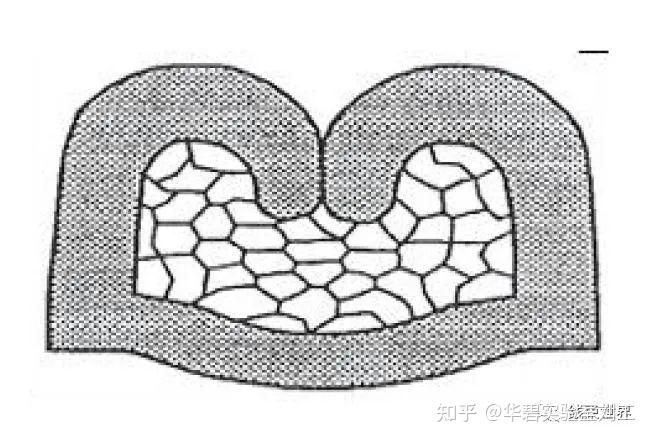 USCAR 21-第四版（2020）中文翻译版 - 知乎