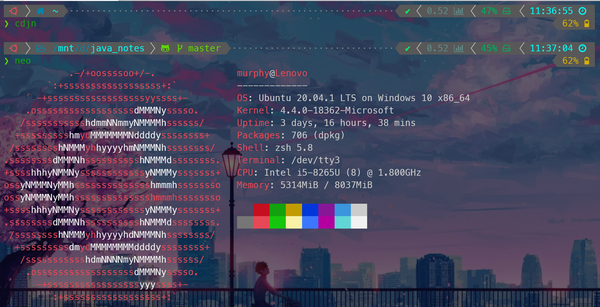 玩转WSL(5)之zsh常用配置和插件 - 知乎