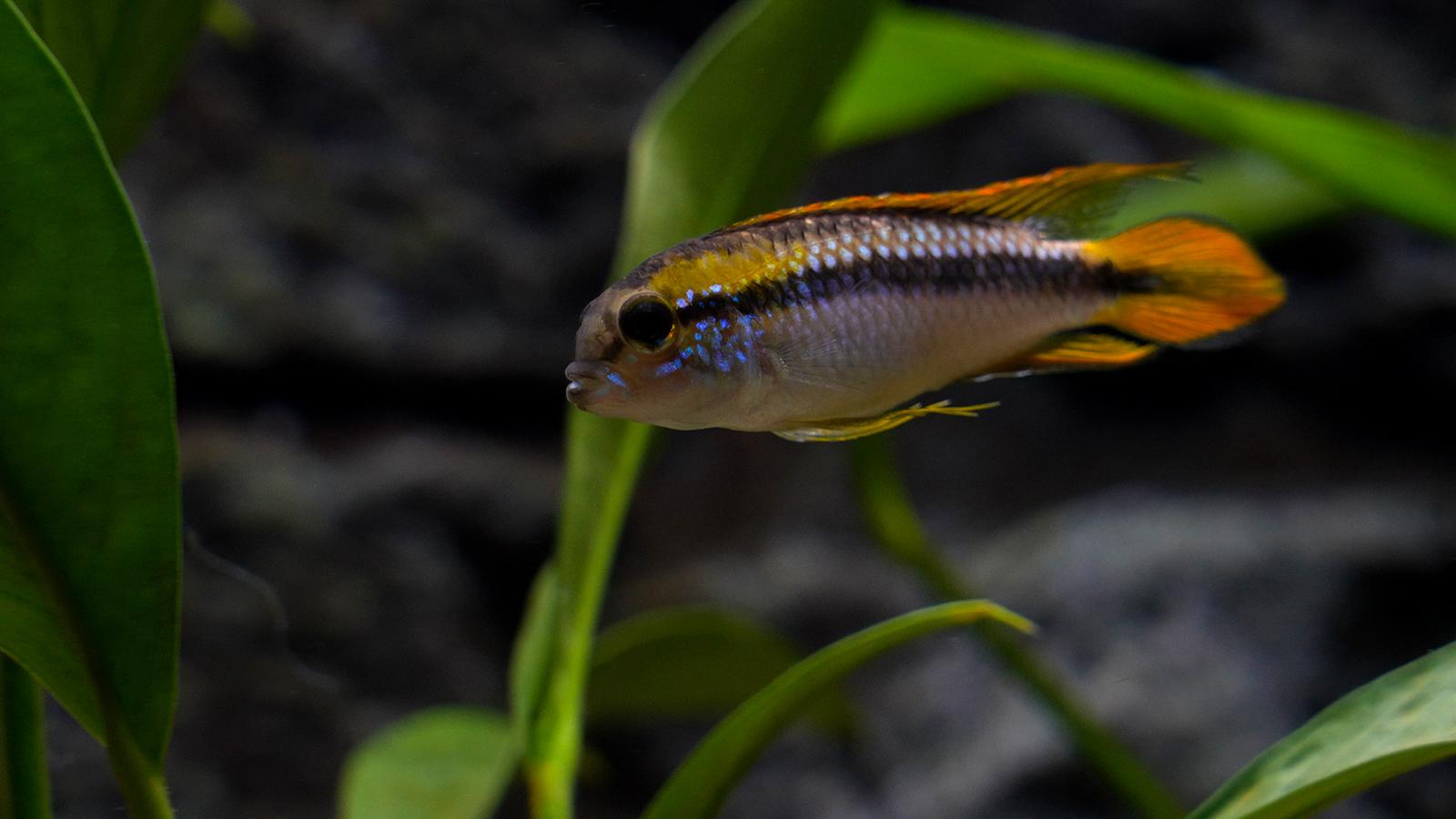 为艺术而生！515克高颜值相机 SONY Alpha 7CR评测 - 知乎