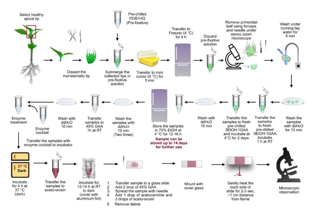 Bio-protocol | 2023年9月5日最新上线实验方案目录 - 知乎