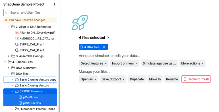 最新版 SnapGene 8.0 上线啦！ - 知乎