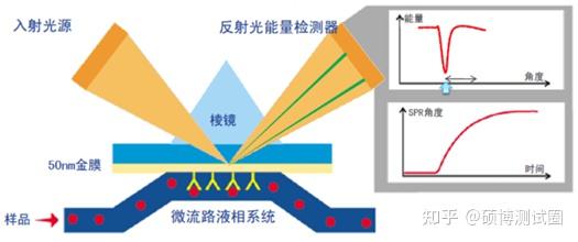 一文读懂表面等离子共振（SPR） - 知乎