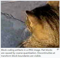 常见图像伪影（1） - 知乎