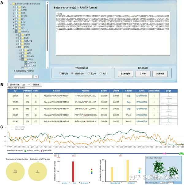 NAR︱华中科技大学薛宇团队开发激酶特异性磷酸化位点预测工具GPS 6.0 - 知乎
