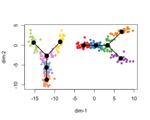 🧐 Slingshot | 细胞分化轨迹的这样做比较简单哦！~（二） - 知乎