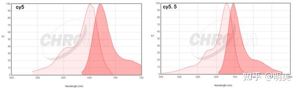 CY5/CY5.5荧光成像效果之滤光片篇 - 知乎
