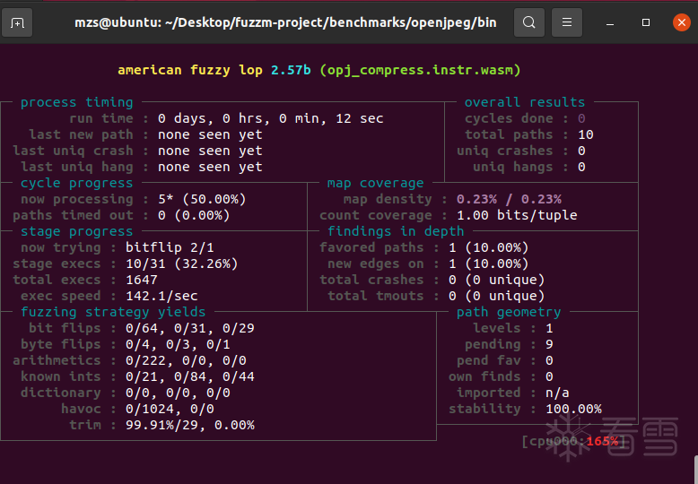 Fuzzm: 针对WebAssembly内存错误的模糊测试 - 知乎