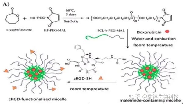 DAPC-PEG-NGR/RGDC/RGDS/iRGD/TAT/PTP/环肽/穿膜肽 磷脂-聚乙二醇-多肽 - 知乎