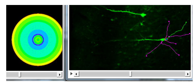 ImageJ的一些基本操作 - 知乎