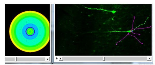 ImageJ的一些基本操作 - 知乎