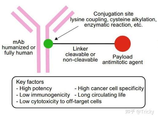 微管抑制剂Fmoc-Val-Cit-PAB-MMAE CAS1350456-56-2 ADC抗体偶联 - 知乎