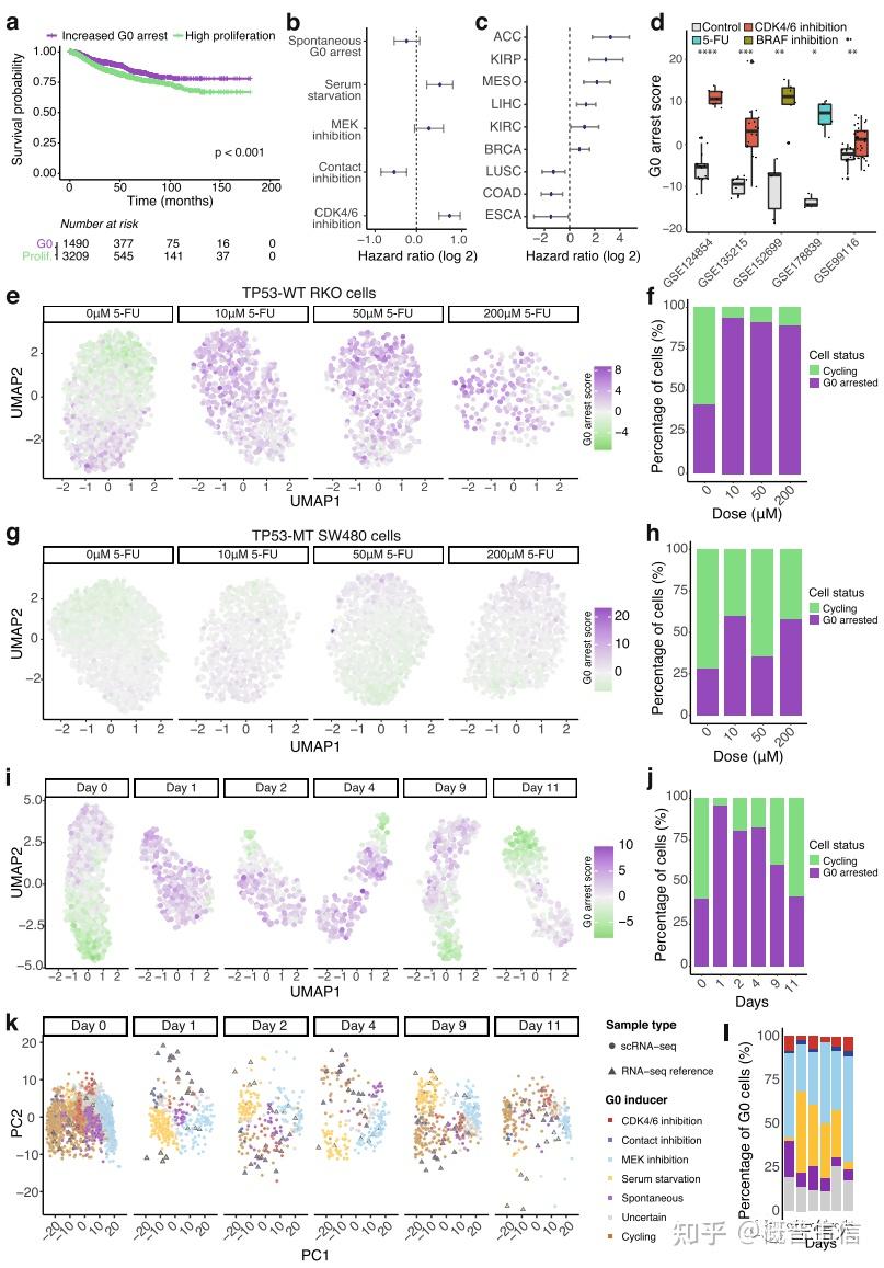 生信分析新热点！-细胞G0期 - 知乎