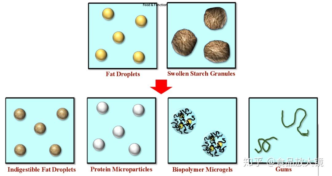 David Julian McClements教授 | 未来食品：食品结构设计优先研究宣言 - 知乎