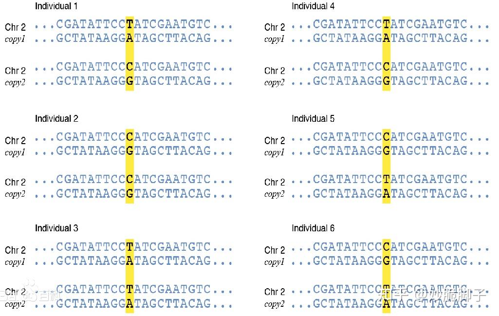 SNP到底是个啥东东？ - 知乎