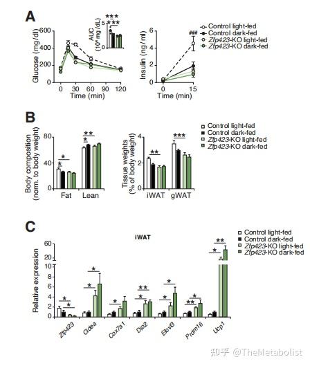 代谢学人--Science：限时进食，快乐减肥 - 知乎