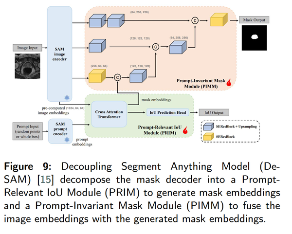SAM在医学影像中的应用（最新） - 知乎
