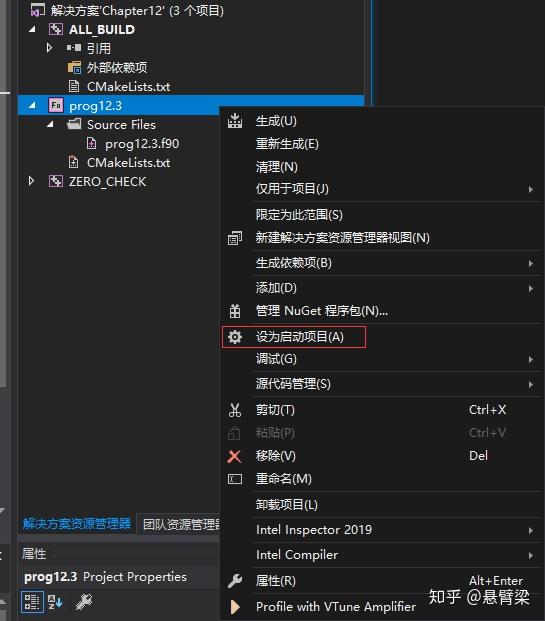使用CMake、Visual Studio和Intel Fortran开发Fortran程序 - 知乎