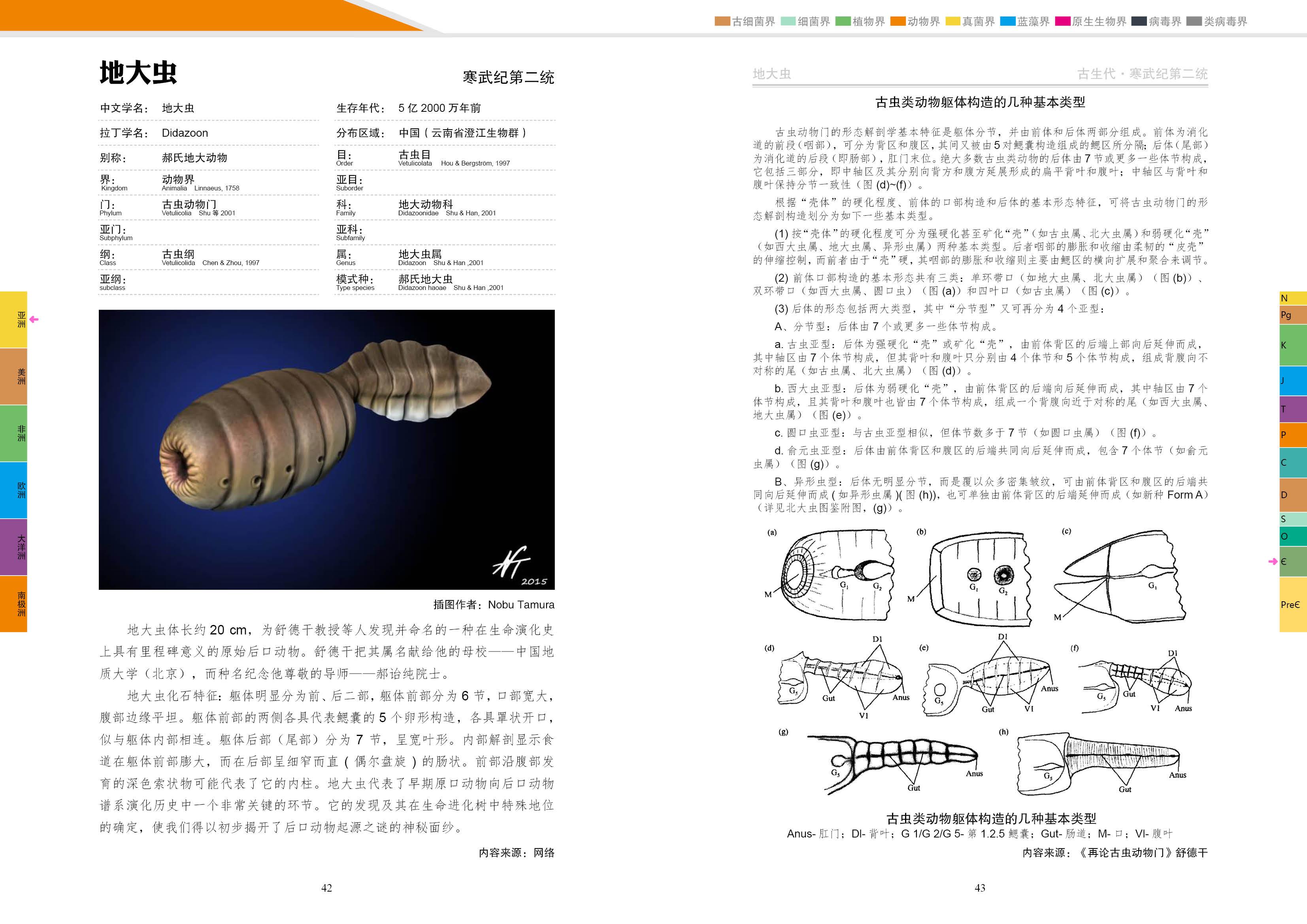《生物简史图鉴》古虫动物门01 - 知乎