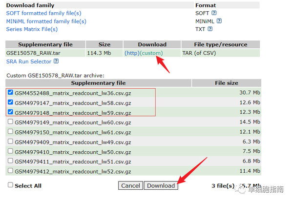 单细胞实战(1)数据下载-数据读取-seurat对象创建 - 知乎