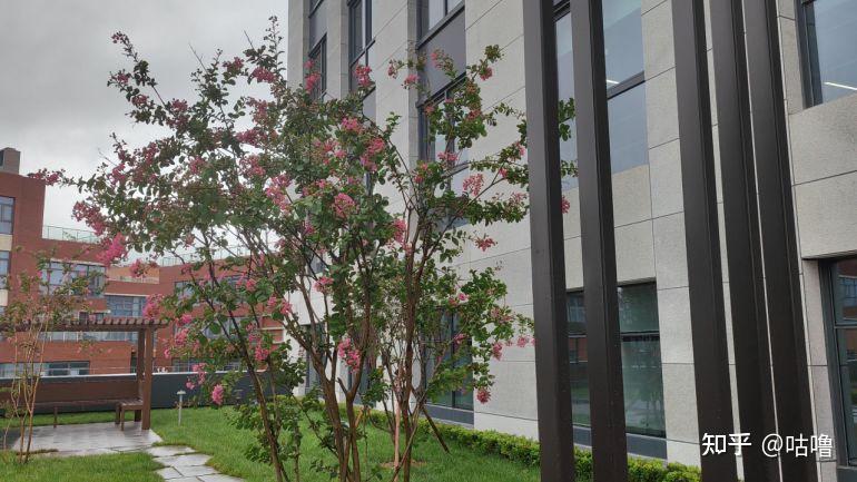 一张图一段话纪念初入CVTE那天 - 知乎