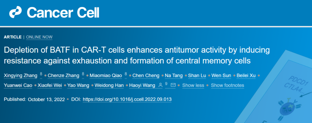 专访王皓毅 | BATF基因敲除可提高CAR-T细胞抗实体瘤疗效，中科院团队发文揭示T细胞耗竭新机制 - 知乎