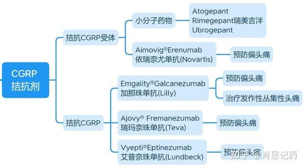 记住4款预防偏头痛生物制剂 | 瑞玛奈珠、加那珠、依瑞奈尤、艾普奈珠单抗 | 靶向降钙素基因相关肽（CGRP）受体 - 知乎
