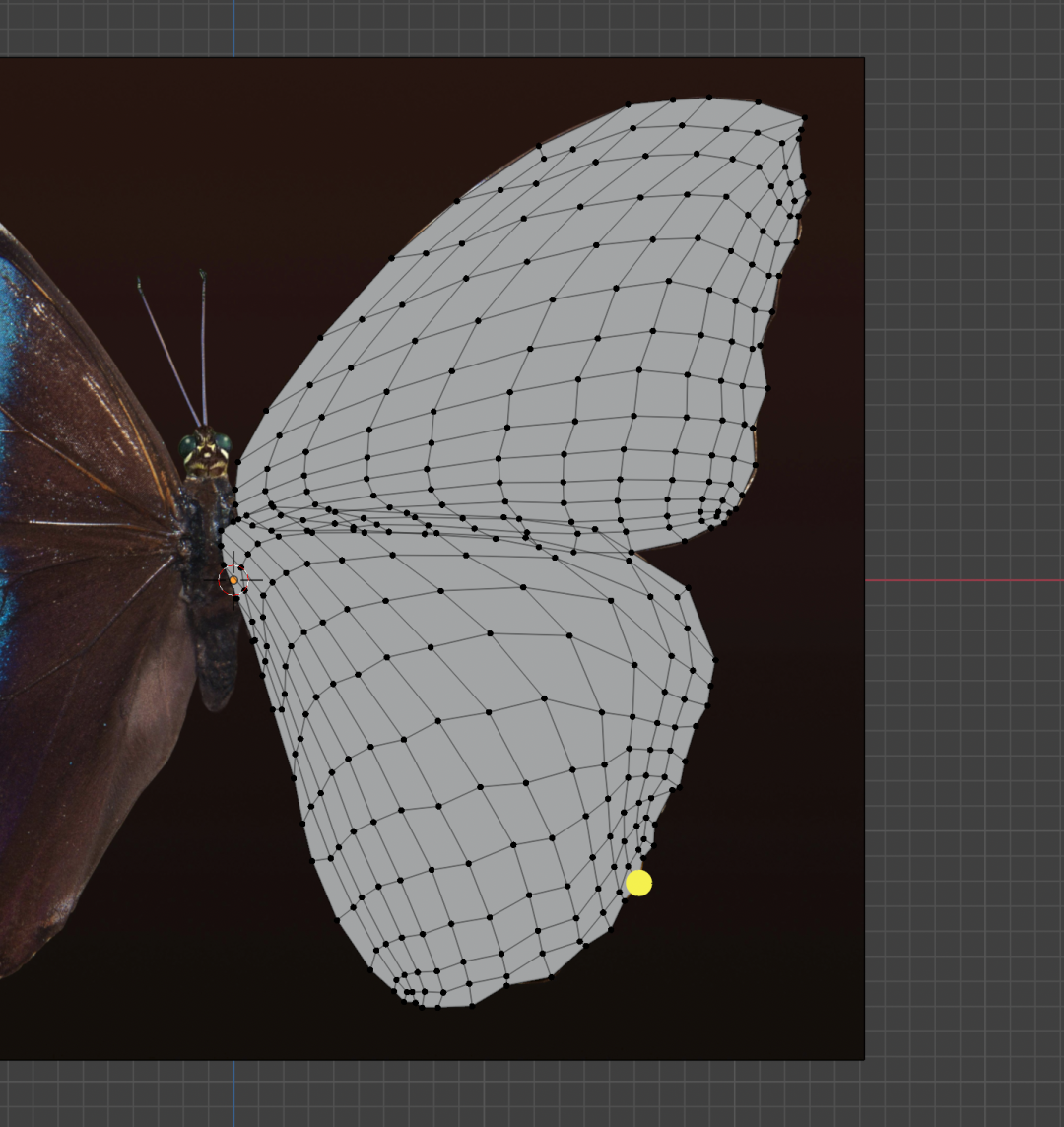 PIXXO 3D：Blender轻松制作梦幻小蝴蝶 - 知乎
