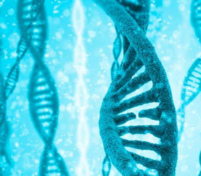 从零开始生物信息学(2):序列比对-Needleman-Wunsch算法 - 知乎