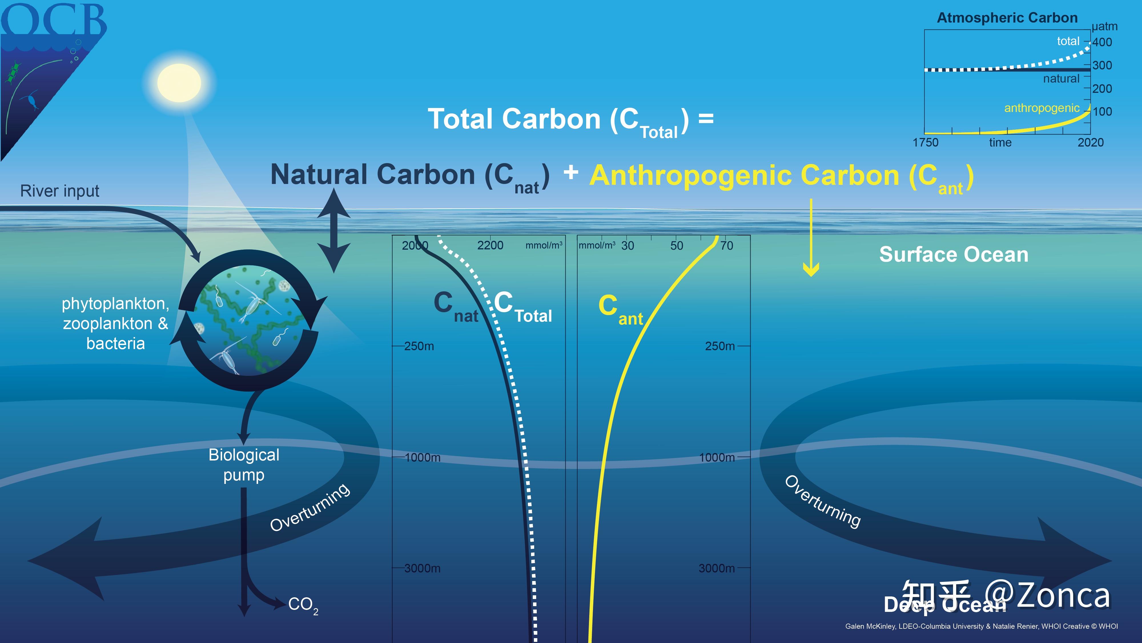 海洋科学基础知识-13-海洋碳库体系 - 知乎