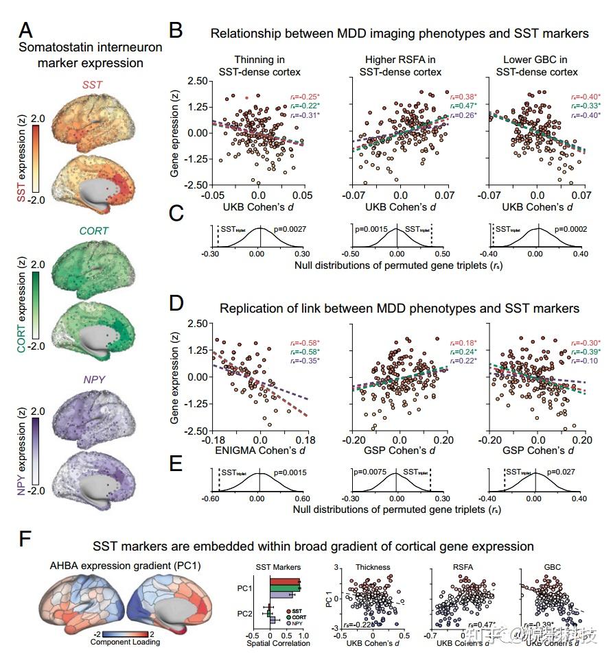 PNAS:整合抑郁症的分子、细胞和皮层神经影像特征 - 知乎