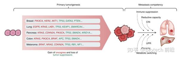 Nature Cancer 深度总结 | 癌症转移机制与治疗策略 - 知乎