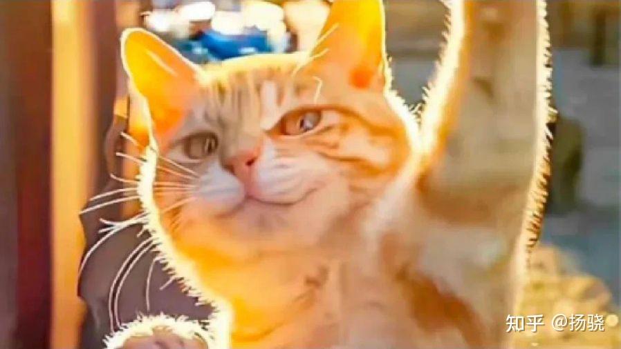 头脑风暴!词汇联想(续) - 知乎