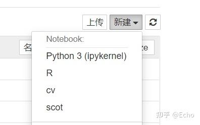 远程服务器ubuntu--jupyter 安装 R内核 iRkernel——试了八百次终于成功，不需要sudo权限 - 知乎