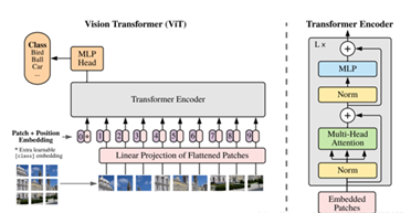 TransUNet: Transformers Make Strong Encoders for Medical Image ...