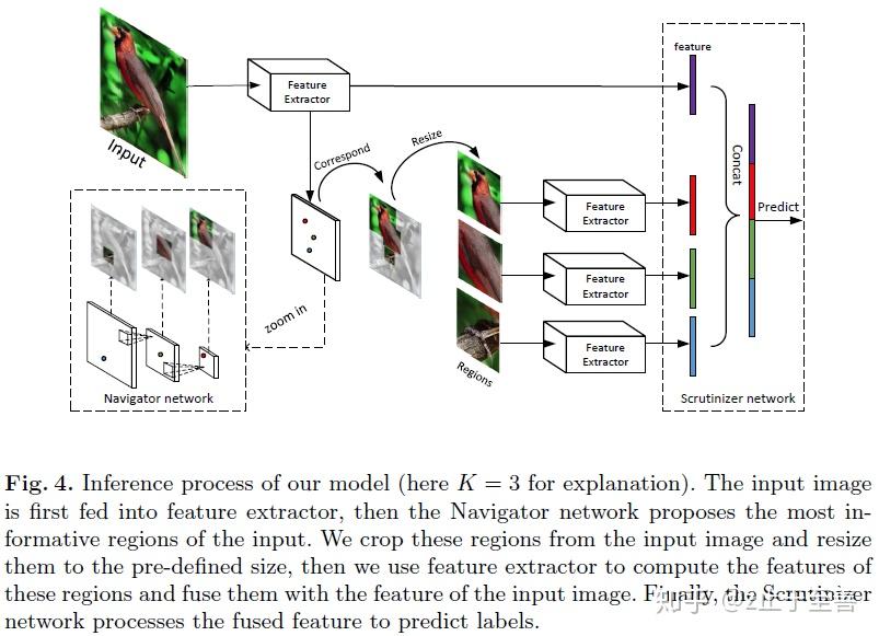 ECCV2018｜Learning to Navigate for FGVC (详细版) - 知乎